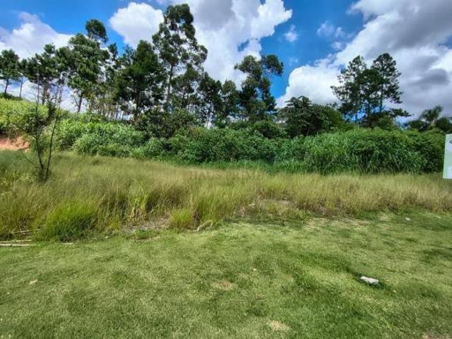 Terreno para venda em Parque Alexandre de 125.00m²