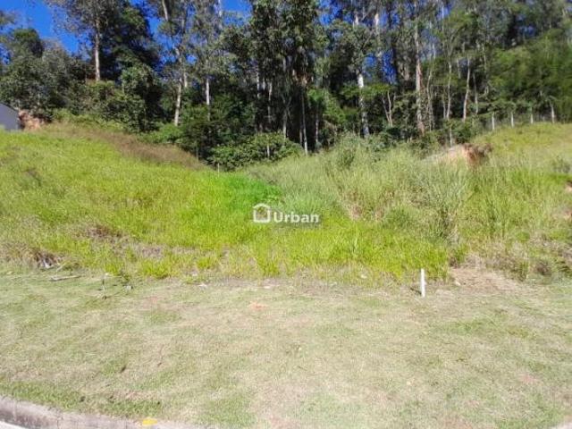 Terreno para venda em Parque Alexandre de 125.00m²