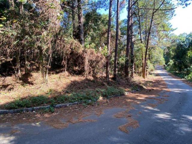 Terreno para venda em Parque Alvorada de 709.00m²
