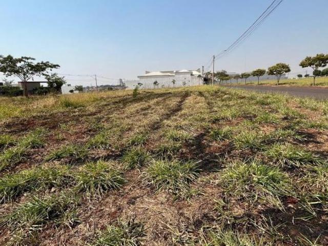 Terreno para venda em Parque das Árvores II de 250.00m²