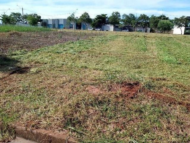 Terreno para venda em Parque das Árvores II de 300.00m²