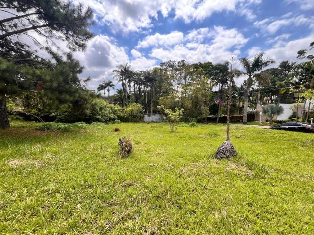Terreno para venda em Parque Dom Henrique em Cotia São Paulo de 1520.00m²