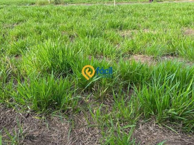 Terreno para venda em Parque Dom Pedro de 0.01m²
