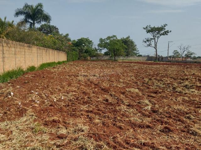 Terreno para venda em Parque Planalto em Araraquara São Paulo de 5020.00m²