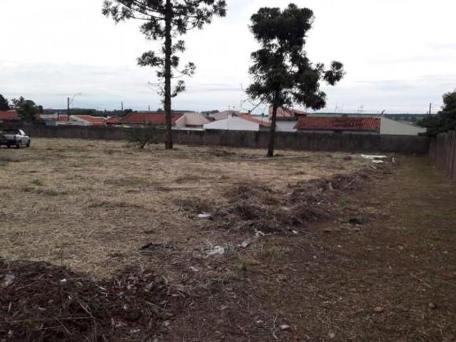 Terreno para venda em Parque Primavera de 4528.00m²