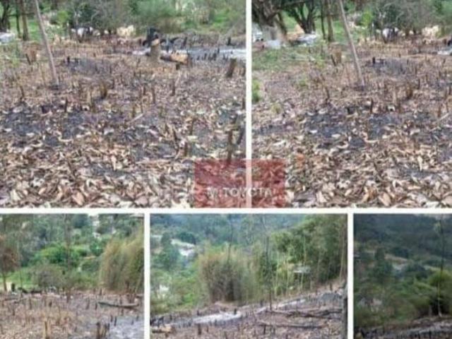 Terreno para venda em Parque Santa Tereza de 1400.00m²