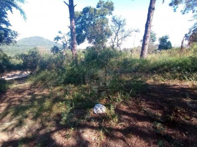 Terreno para venda em Parque Sinai de 1000.00m²