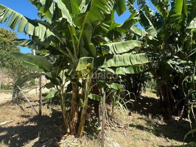 Terreno para venda em Parque Valinhos de 2300.00m²