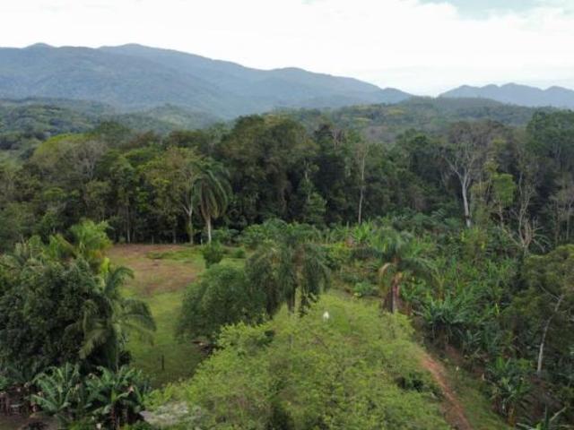 Terreno para Venda em Pedro de Toledo, Area Rural