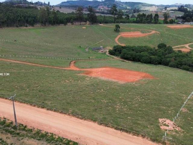 Terreno para Venda em Pedra Bela, Boca da Mata