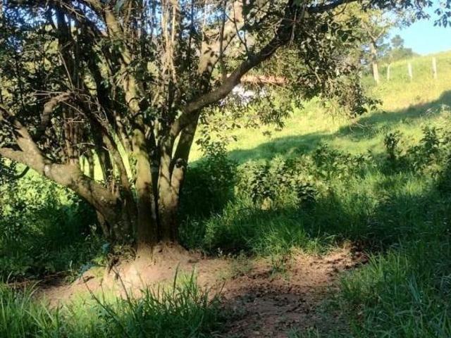 Terreno para Venda em Pedra Bela, Paiol da Telha