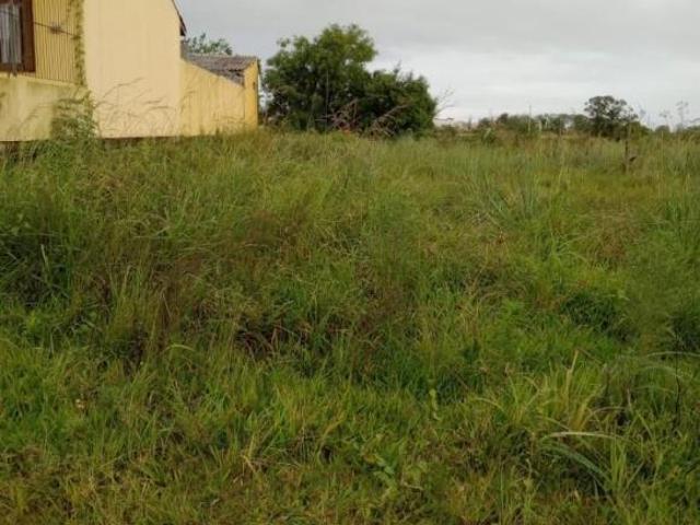 Terreno para Venda em Pelotas, Centro