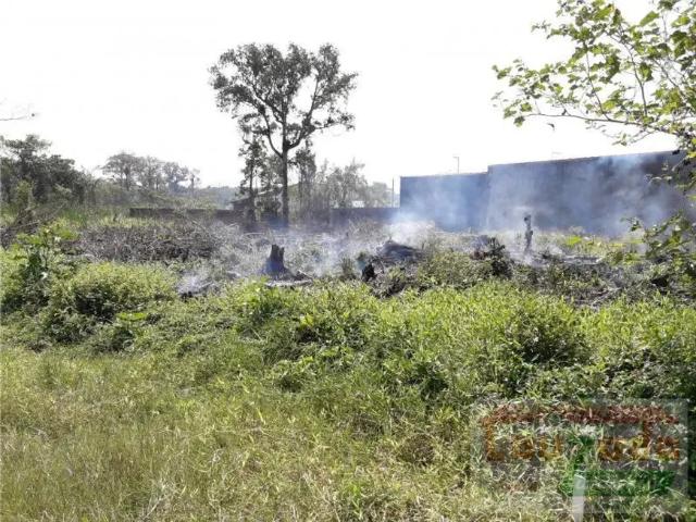 Terreno para Venda em Peruíbe, Cidade Nova Peruibe