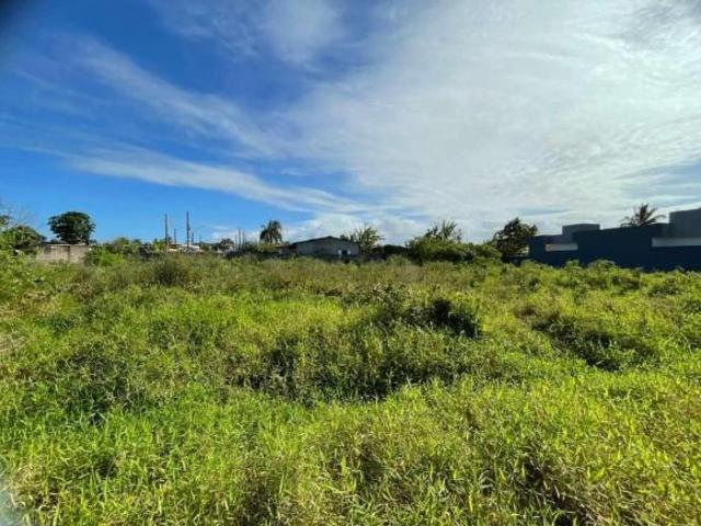 Terreno para Venda em Peruíbe, Vila Erminda
