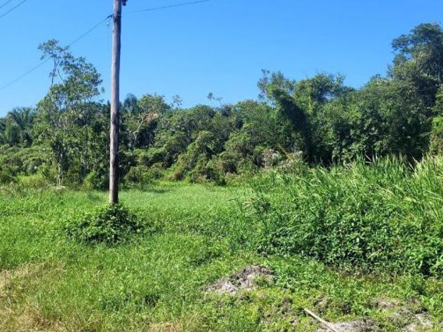 Terreno para Venda em Peruíbe, Estância Bambu