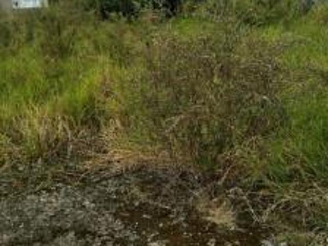 Terreno para Venda em Peruíbe, Estância dos Eucaliptos