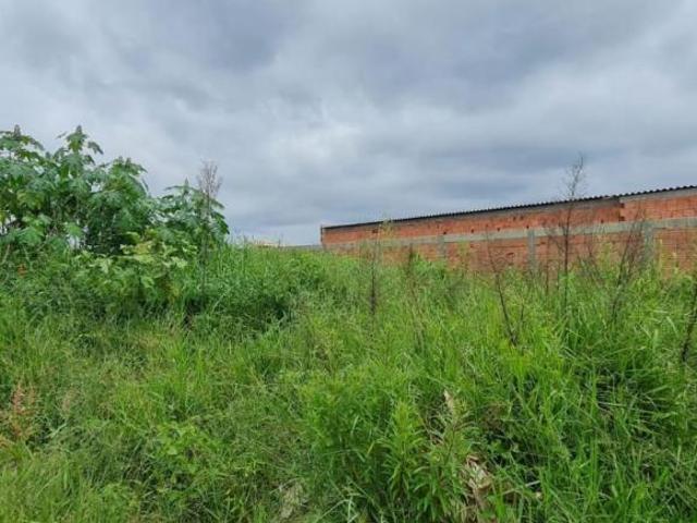 Terreno para Venda em Peruíbe, Estancia dos Eucaliptos