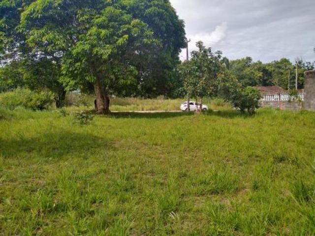 Terreno para Venda em Peruíbe, Fazenda São João