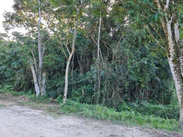 Terreno para Venda em Peruíbe, Guaraú