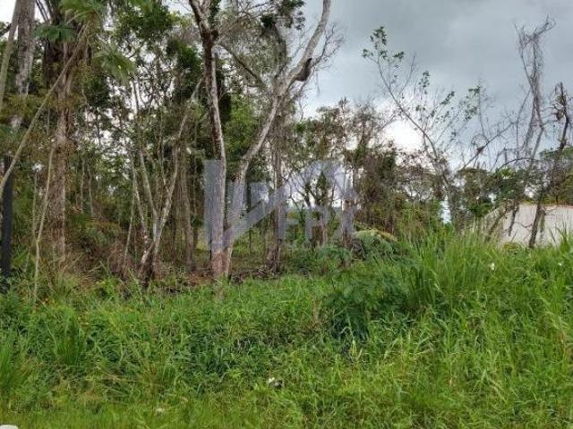 Terreno para Venda em Peruíbe, Jardim Márcia 2