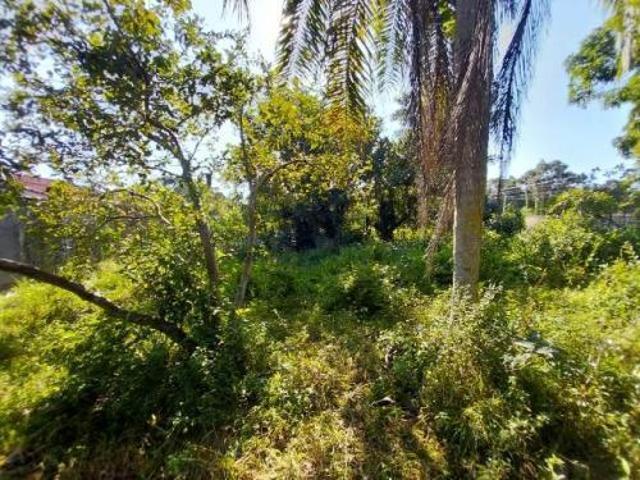 Terreno para Venda em Peruíbe, Jardim Somar