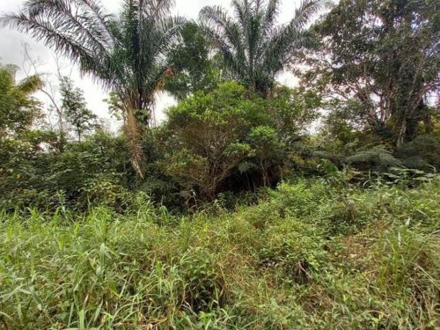 Terreno para Venda em Peruíbe, Jardim San Francisco
