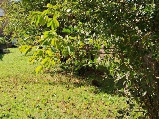 Terreno para Venda em Peruíbe, Josedy