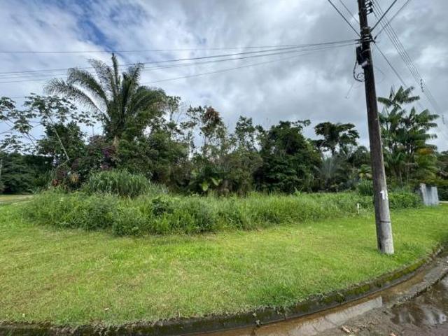 Terreno para Venda em Peruíbe, SÃO LUIS