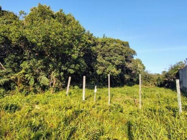 Terreno para Venda em Peruíbe, SANTA CRUZ