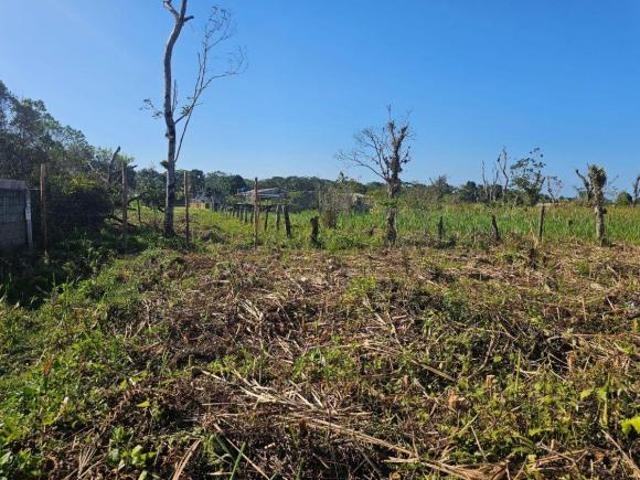 Terreno para venda em Peruíbe SP