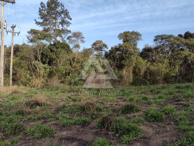 Terreno para venda em Piedade em Piedade São Paulo de 48400.00m²