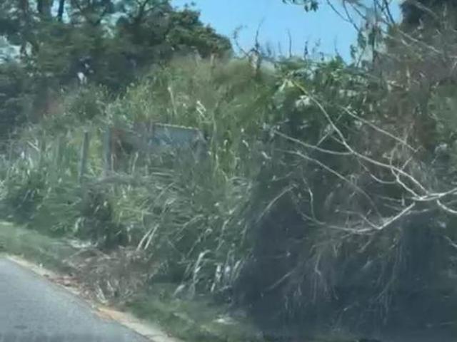 Terreno para venda em Pindorama, Belo Horizonte