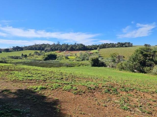 Terreno para Venda em Pinhalzinho