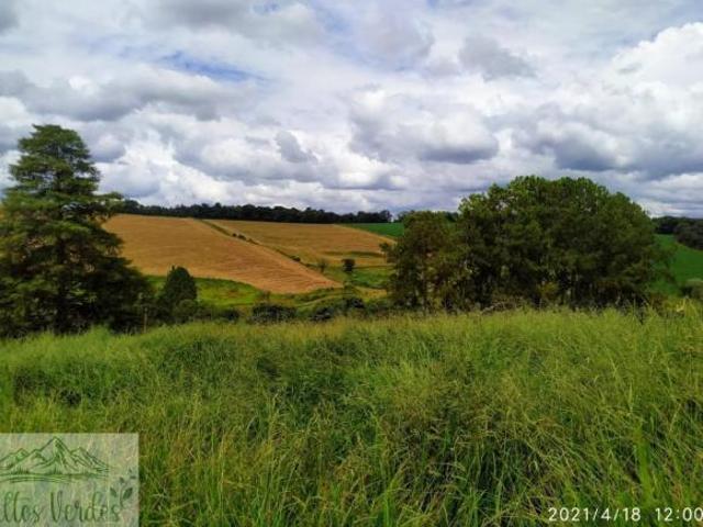 Terreno para Venda em Pinhalzinho
