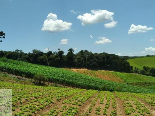 Terreno para Venda em Pinhalzinho