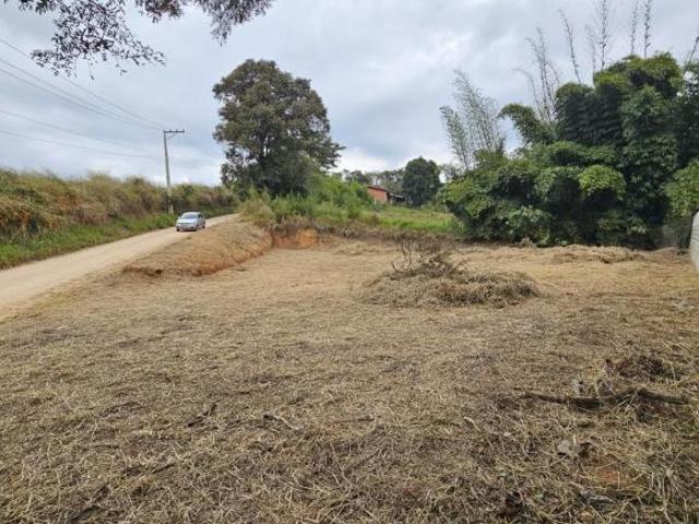 Terreno para Venda em Pinhalzinho
