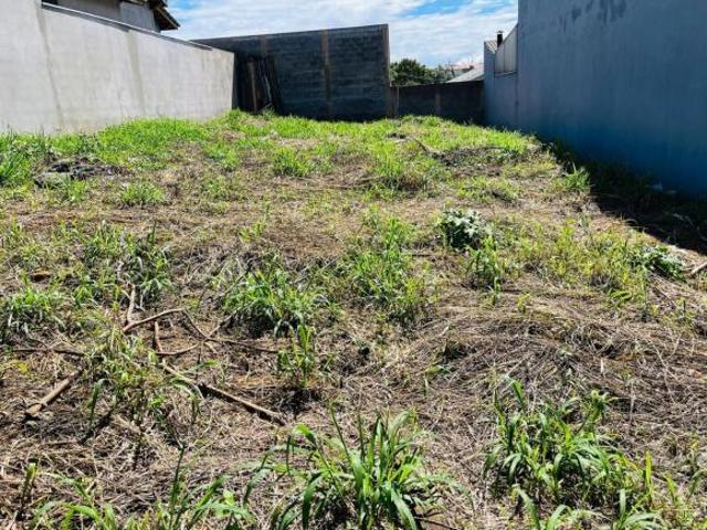 Terreno para Venda em Pinhalzinho, Centro