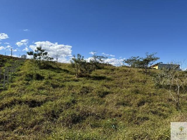 Terreno para Venda em Pinhalzinho, Chácaras Araucárias