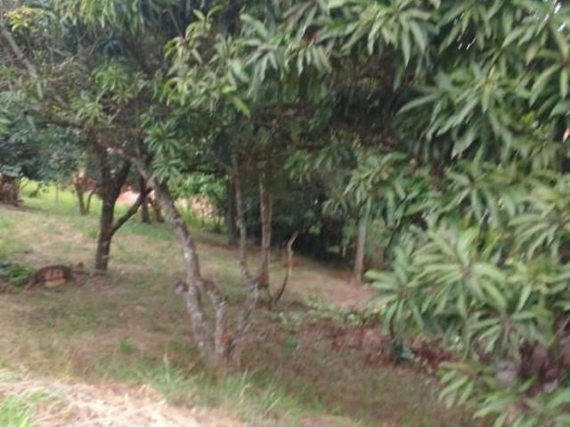 Terreno para Venda em Pinhalzinho, JARDIM DOS PRADOS
