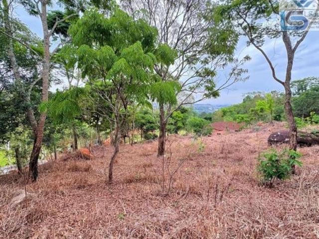 Terreno para Venda em Pinhalzinho, Rosa Mendes