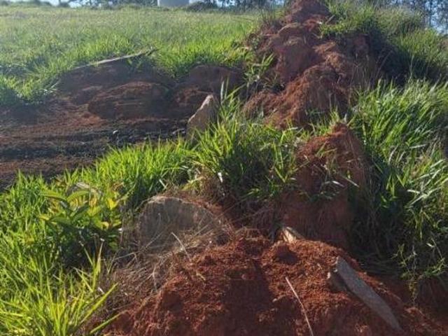 Terreno para Venda em Pinhalzinho, Vento forte
