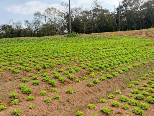 Terreno para Venda em Pinhalzinho, ZONA RURAL