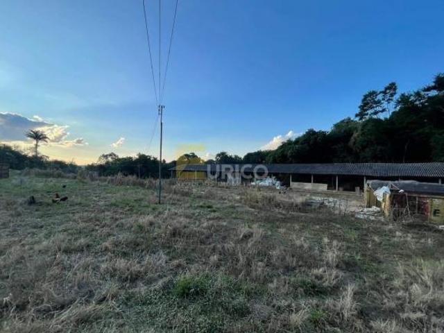 Terreno para venda em Pinheirinho de 5000.00m²