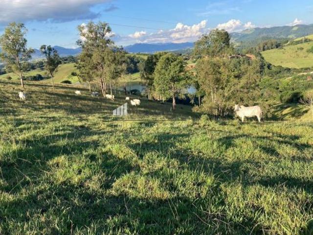 Terreno para Venda em Piracaia, Panorama