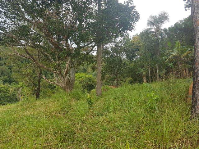 Terreno para venda em Pirapora do Bom Jesus em Pirapora Do Bom Jesus São Paulo de 430.00m²