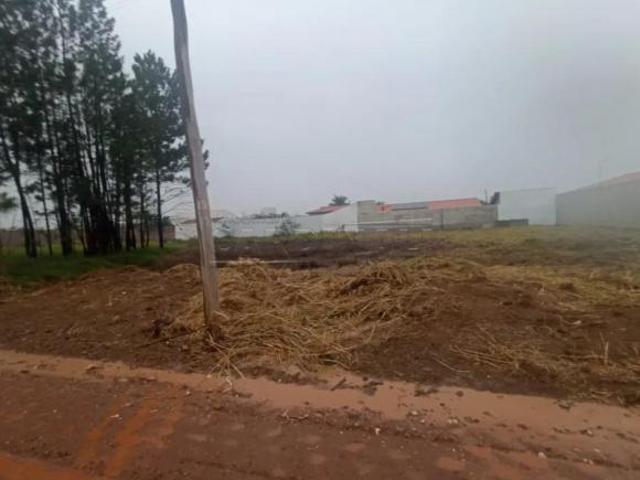 Terreno para venda em Quinta Dos Buritis de 1000.00m²