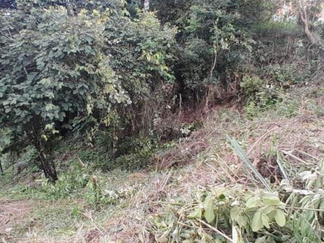 Terreno para venda em Quintas São José Melo Viana, Esmeral