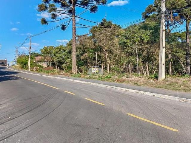 Terreno para venda em Roça Grande de 10403.00m²