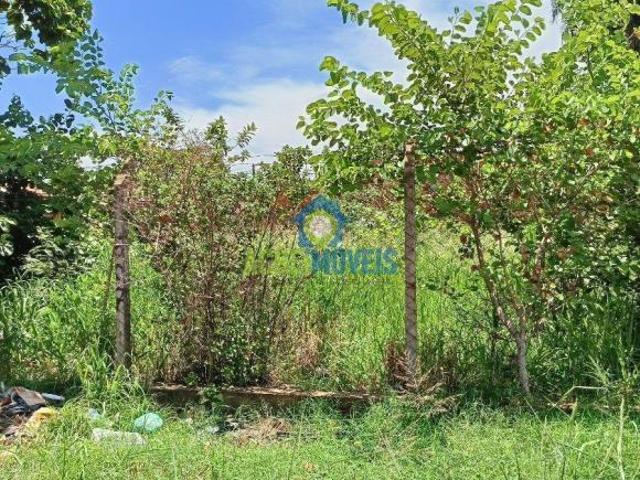 Terreno para venda em Rosele de 250.00m²