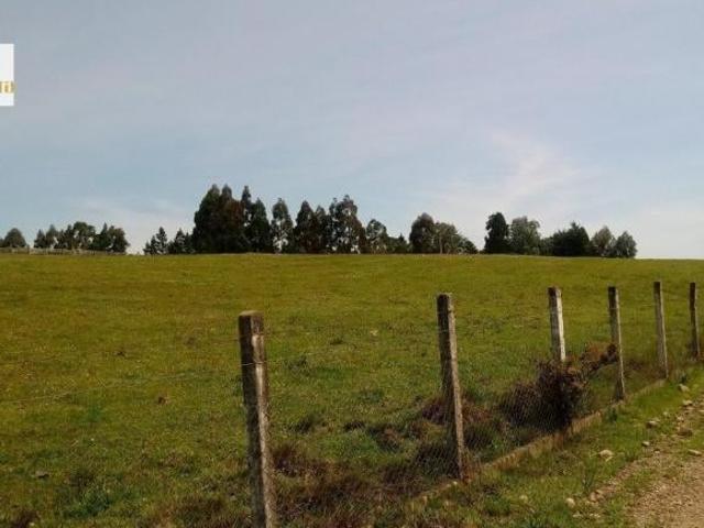 Terreno para Venda em Rancho Jane Canela RS